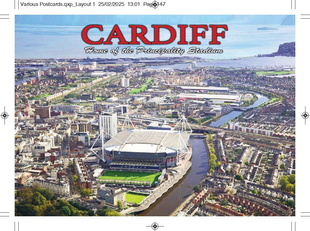 0300 - CC Cardiff Stadium View – Celtic Collection Gifts
